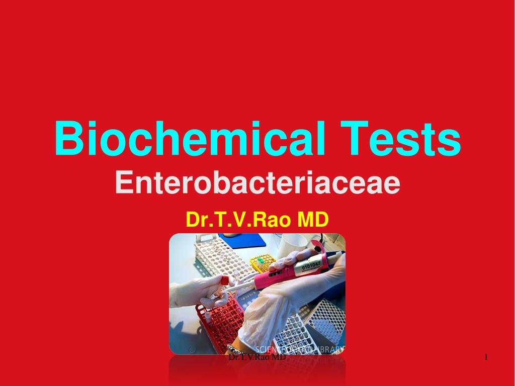 PPT - Biochemical Tests Enterobacteriaceae PowerPoint Presentation ...