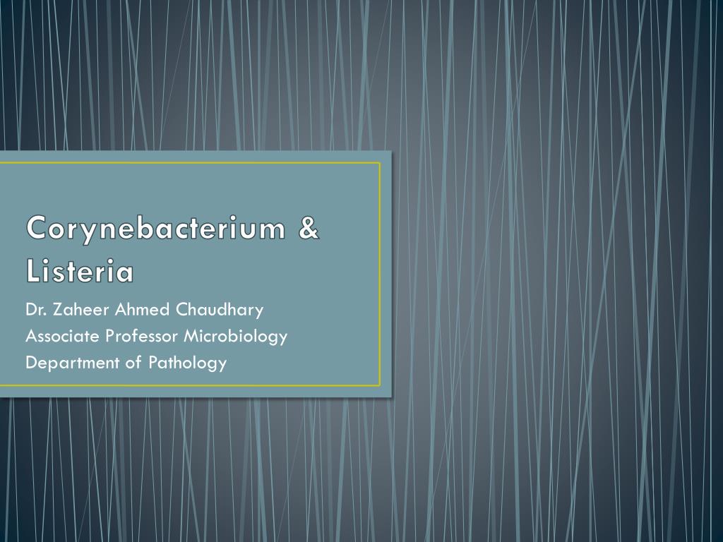 PPT - Corynebacterium & Listeria PowerPoint Presentation, free download ...