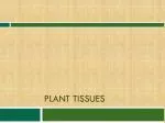PPT - PLANT TISSUES PowerPoint Presentation, free download - ID:2029413