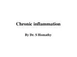 PPT - CHRONIC INFLAMMATION PowerPoint Presentation, free download - ID ...