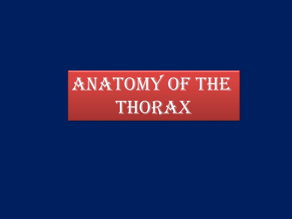 PPT - Anatomy of the Thorax PowerPoint Presentation, free download - ID ...