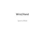 PPT - Wrist and Hand PowerPoint Presentation, free download - ID:1778861