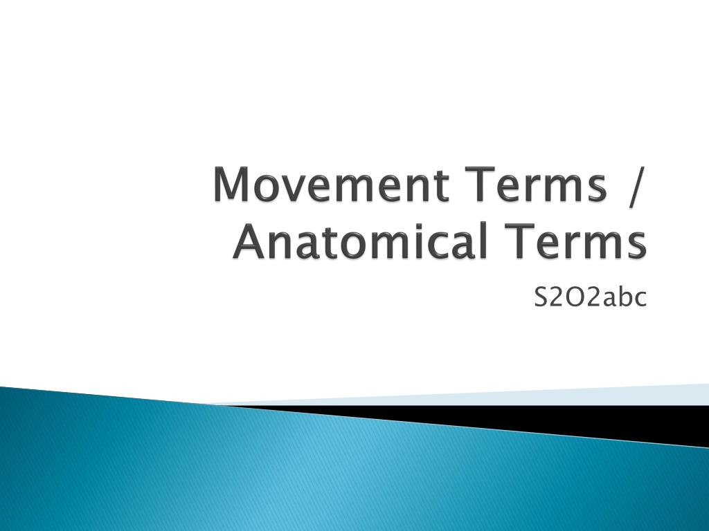 PPT - Movement Terms / Anatomical Terms PowerPoint Presentation, free ...