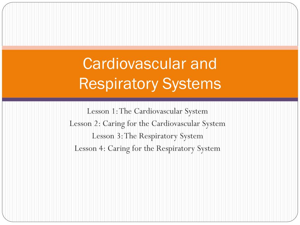 PPT - Cardiovascular and Respiratory Systems PowerPoint Presentation ...