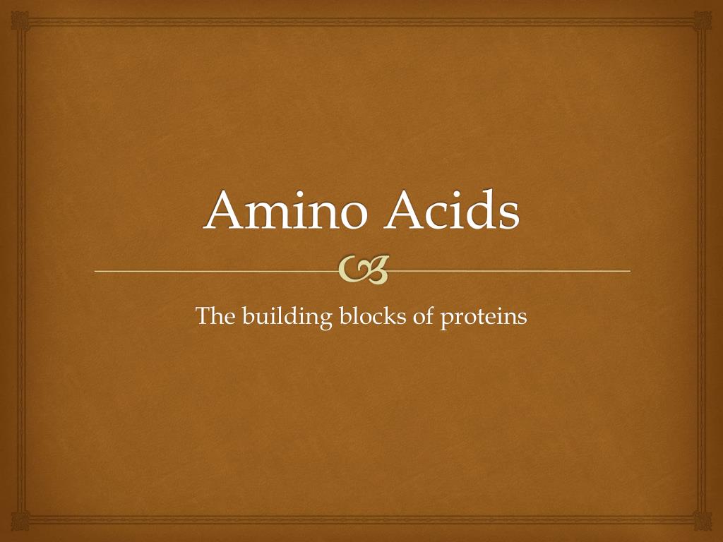 PPT - Amino Acids PowerPoint Presentation, free download - ID:2318949