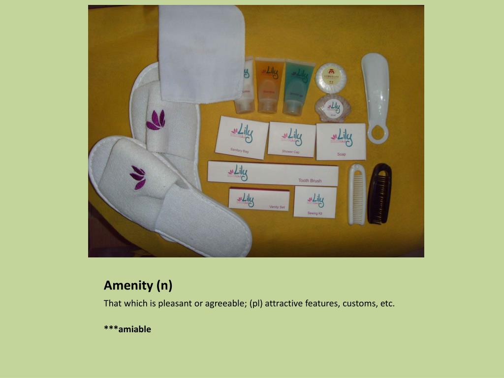 PPT - Amenity (n) PowerPoint Presentation, free download - ID:2319951