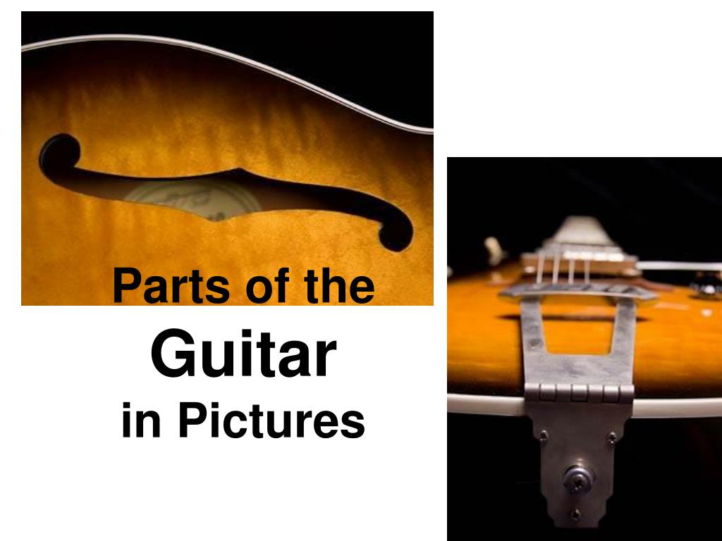 PPT - Parts of the Guitar in Pictures PowerPoint Presentation, free ...