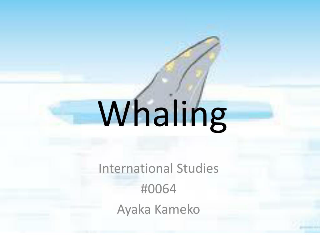 PPT - Whaling PowerPoint Presentation, free download - ID:2325269
