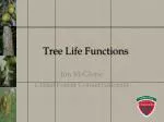 PPT - LIFE FUNCTIONS PowerPoint Presentation, free download - ID:2383668