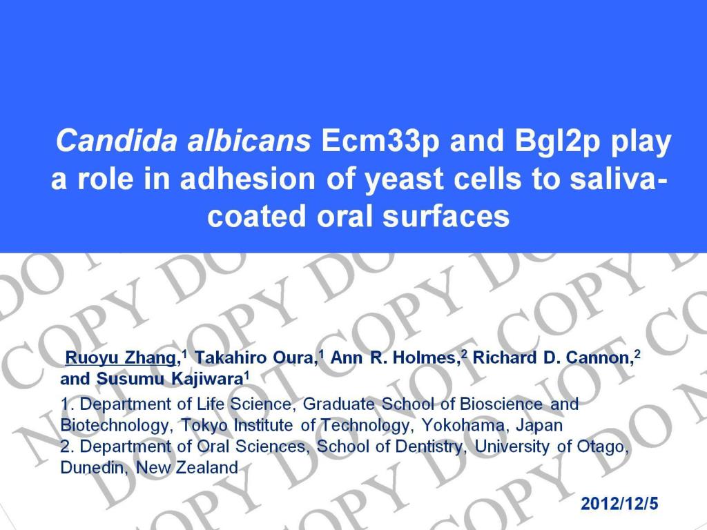 PPT - Candida albicans PowerPoint Presentation, free download - ID:2326557