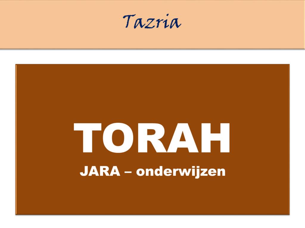 PPT - Tazria PowerPoint Presentation, free download - ID:2326837