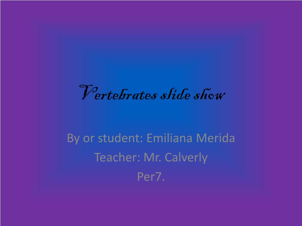 PPT - Vertebrates slide show PowerPoint Presentation, free download ...