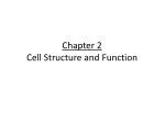 PPT - 2. Neuronal Structure and Function PowerPoint Presentation, free download - ID:5428083