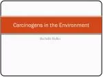 PPT - CHEMICAL CARCINOGENS PowerPoint Presentation, free download - ID ...