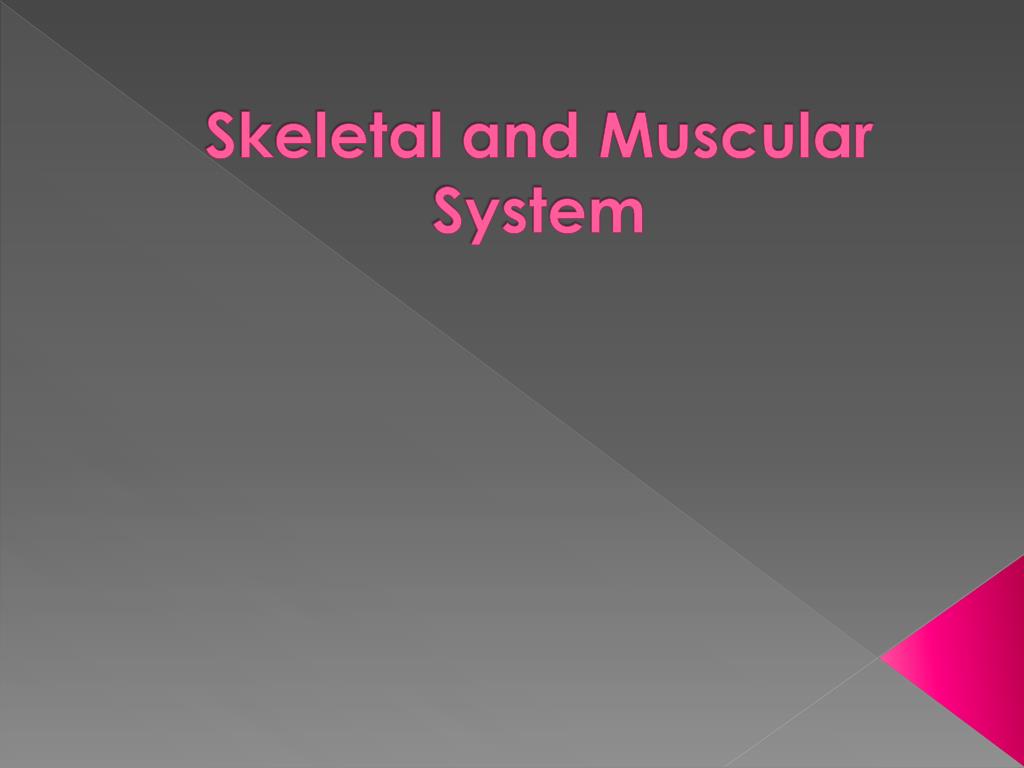 PPT - Skeletal and Muscular System PowerPoint Presentation, free ...