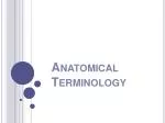 PPT - Anatomical Terminology PowerPoint Presentation, free download ...