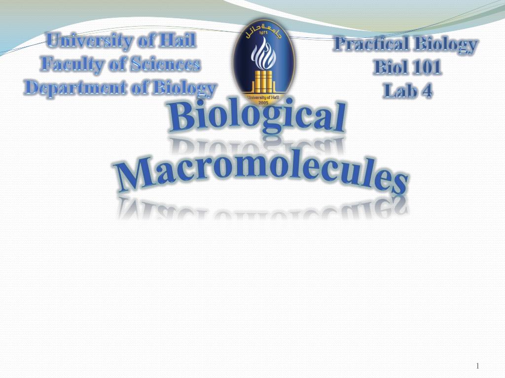 PPT - Biological Macromolecules PowerPoint Presentation, free download ...