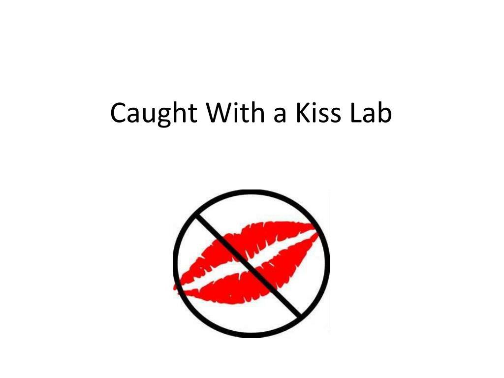 PPT - Caught With a Kiss Lab PowerPoint Presentation, free download ...
