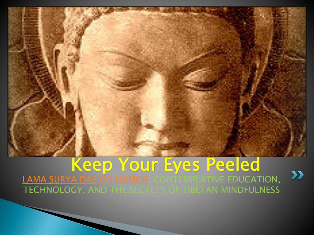 PPT - Keep Your Eyes Peeled PowerPoint Presentation, free download - ID ...