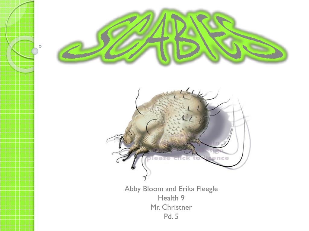 PPT - SCABIES PowerPoint Presentation, free download - ID:2335103