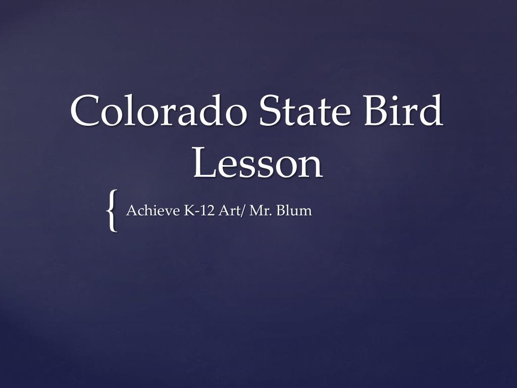 PPT - Colorado State Bird Lesson PowerPoint Presentation, free download ...
