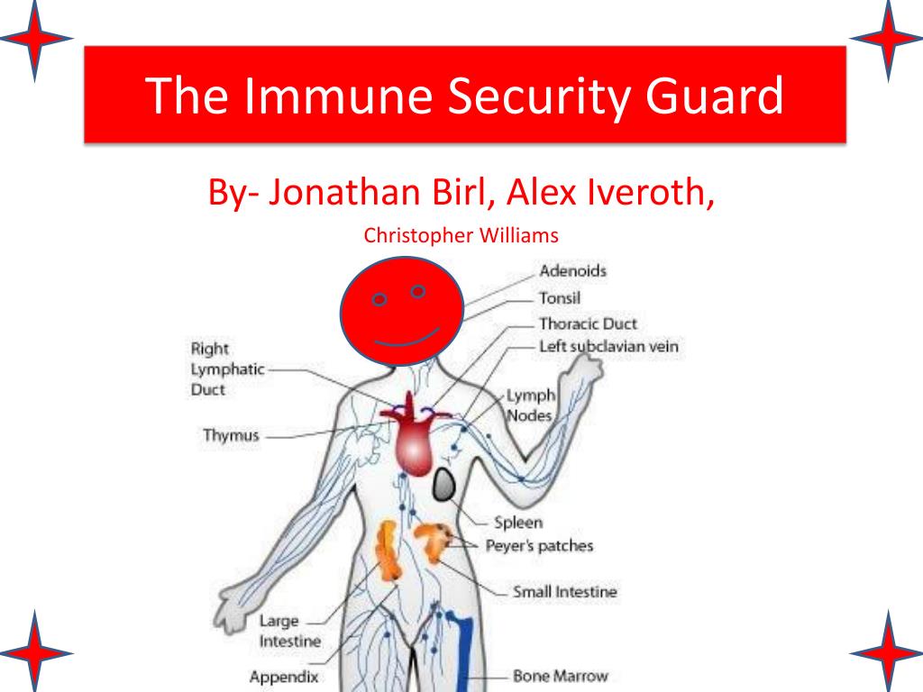 PPT - The Immune Security Guard PowerPoint Presentation, free download ...