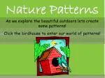 PPT - Patterns In Nature PowerPoint Presentation, free download - ID ...