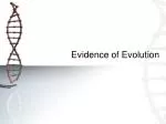 PPT - Evidence of Evolution PowerPoint Presentation, free download - ID ...