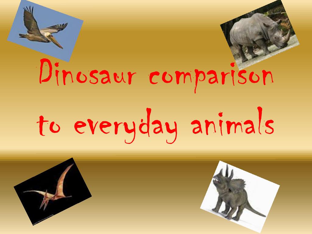 PPT - Dinosaur comparison to everyday animals PowerPoint Presentation ...