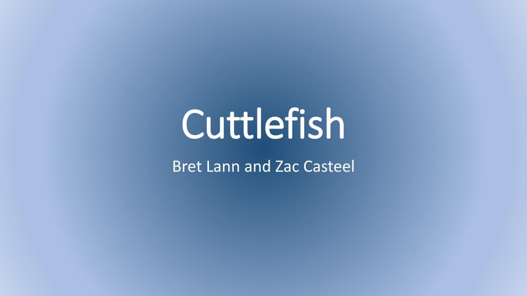 PPT - Cuttlefish PowerPoint Presentation, free download - ID:2337359