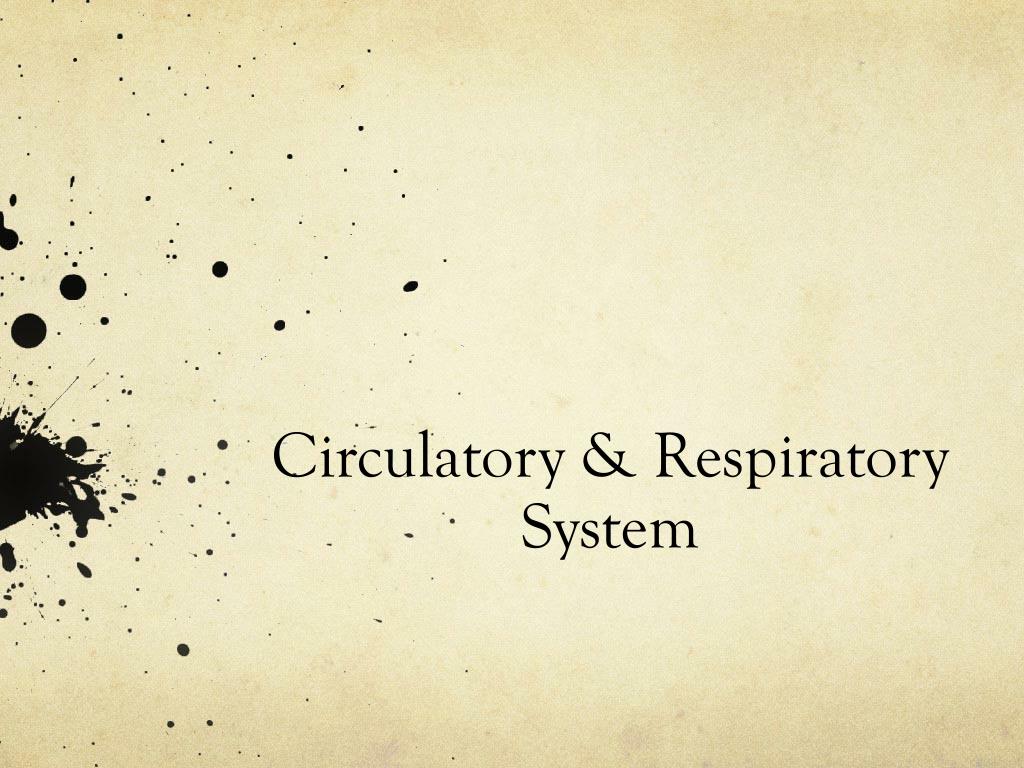 PPT - Understanding the Circulatory and Respiratory Systems: Engaging ...