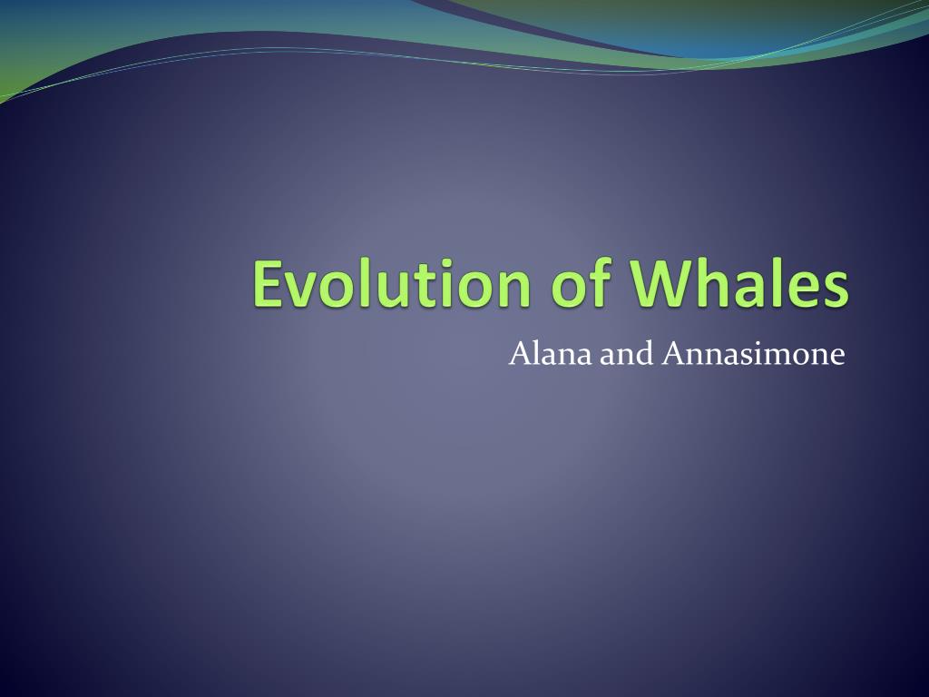 PPT - Evolution of Whales PowerPoint Presentation, free download - ID ...