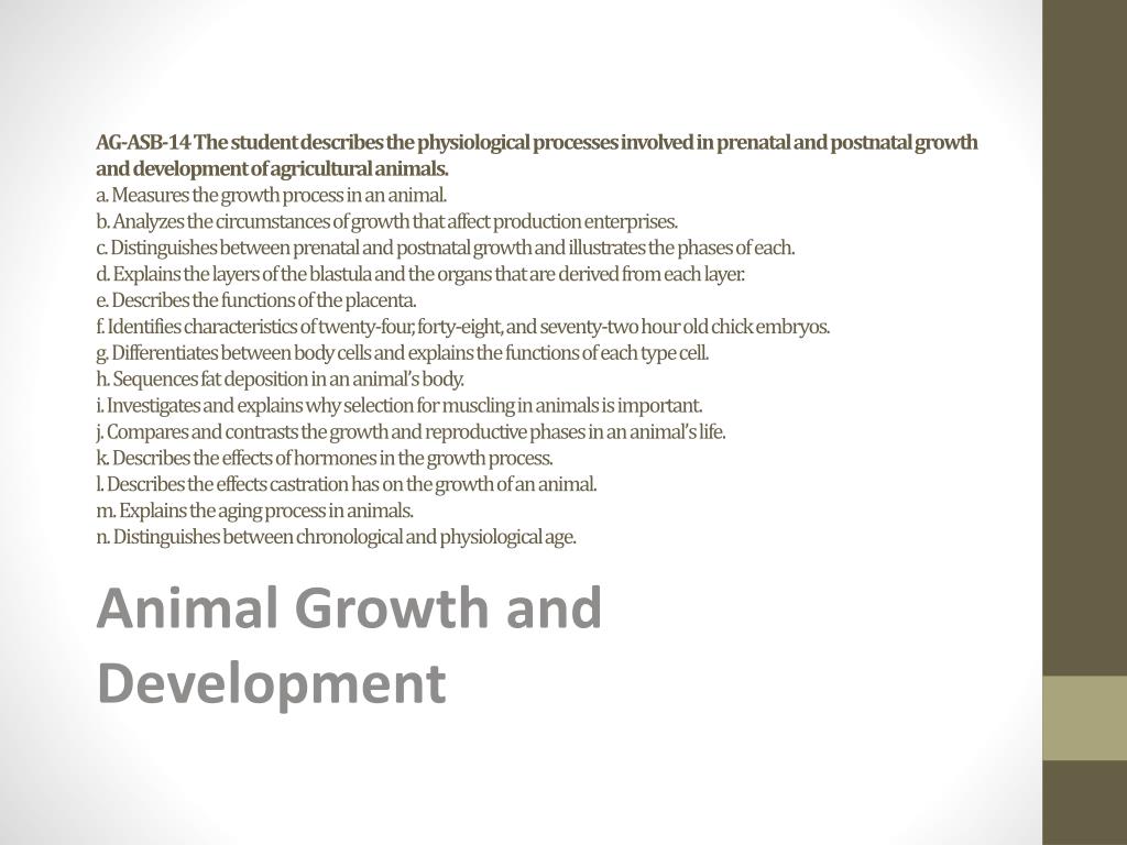 PPT - Animal Growth and Development PowerPoint Presentation, free ...