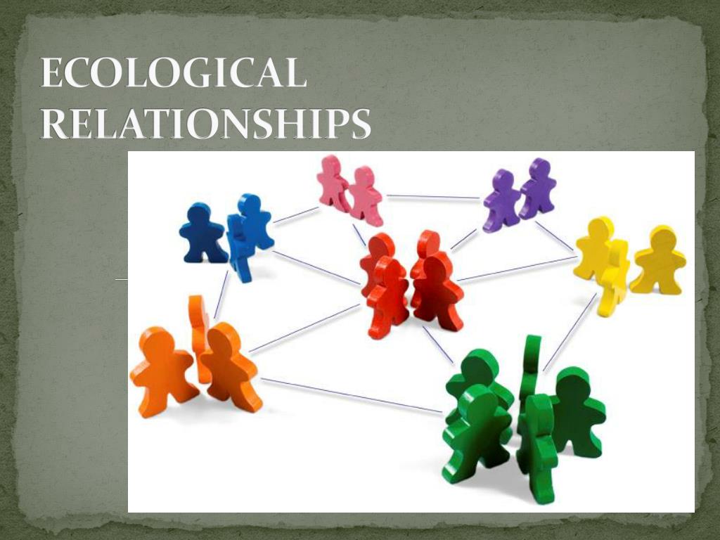 PPT - ECOLOGICAL RELATIONSHIPS PowerPoint Presentation, free download - ID:2338912