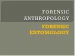 PPT - FORENSIC ANTHROPOLOGY PowerPoint Presentation, free download - ID ...