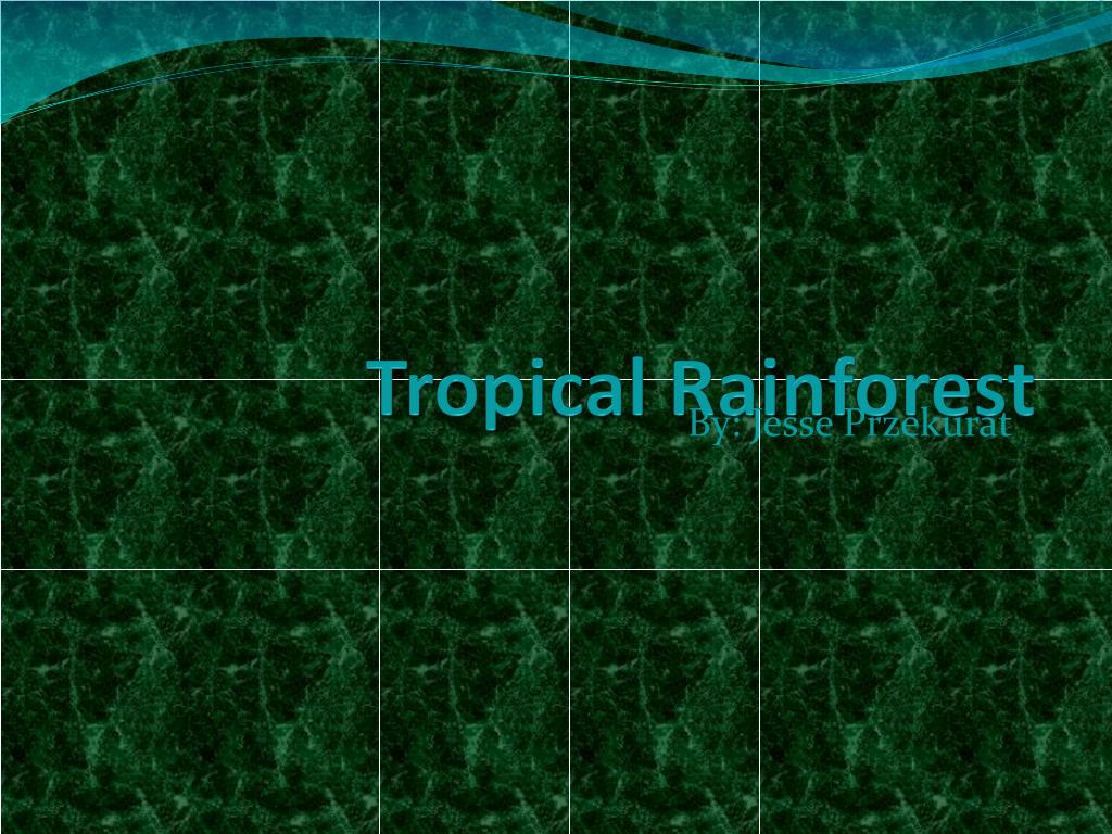 PPT - Tropical Rainforest PowerPoint Presentation, free download - ID ...