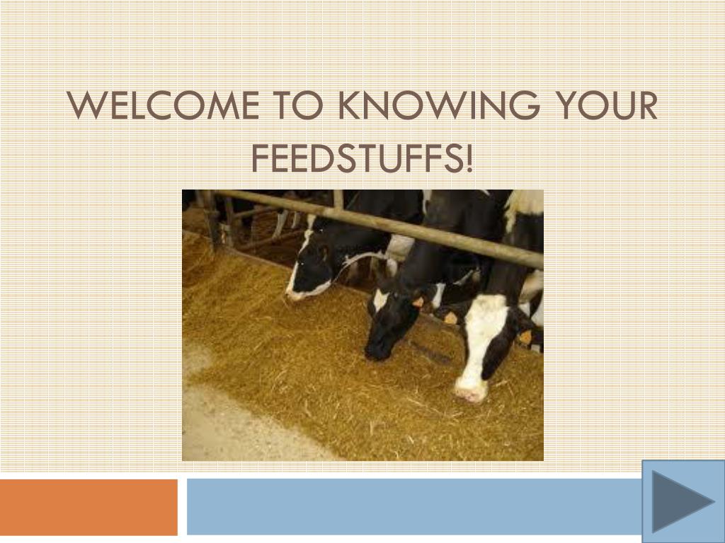 PPT - Welcome to Knowing Your Feedstuffs! PowerPoint Presentation, free ...