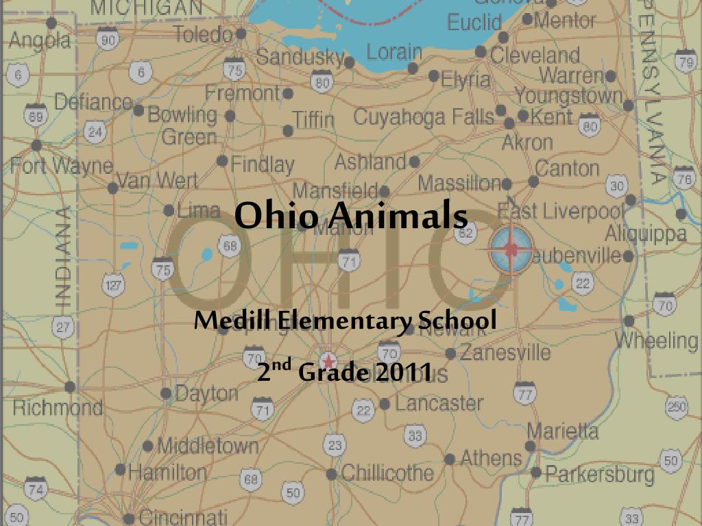 PPT - Ohio Animals PowerPoint Presentation, free download - ID:2346587