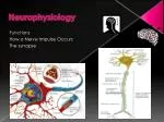 PPT - Neurophysiology PowerPoint Presentation, free download - ID:168209