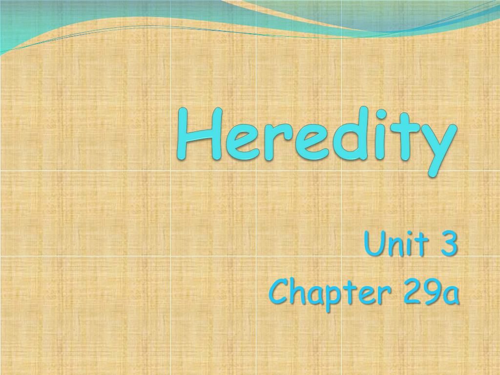 PPT - Heredity PowerPoint Presentation, free download - ID:2347672