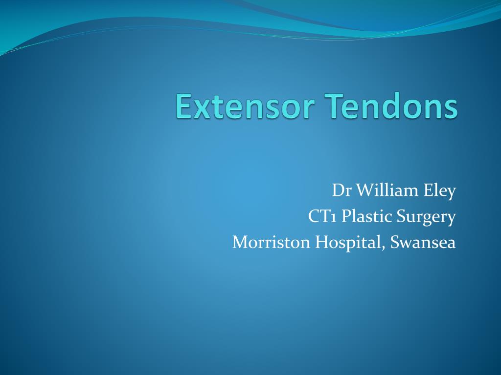 PPT - Extensor Tendons PowerPoint Presentation, free download - ID:2347933