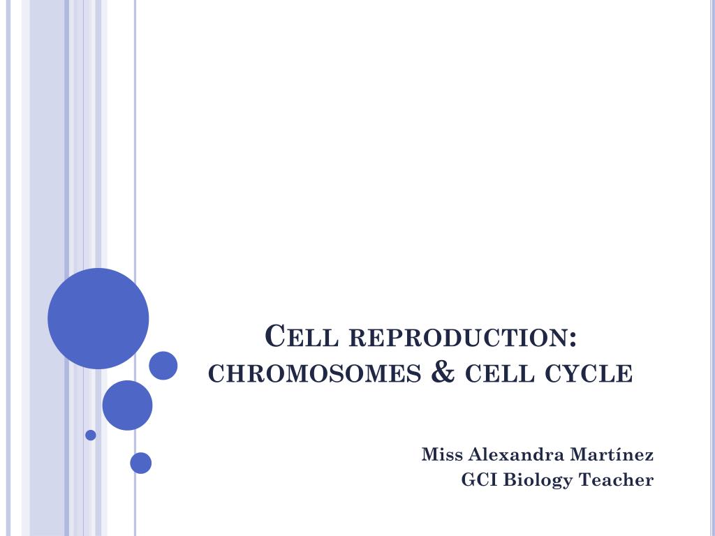 PPT - Cell reproduction : chromosomes & cell cycle PowerPoint ...