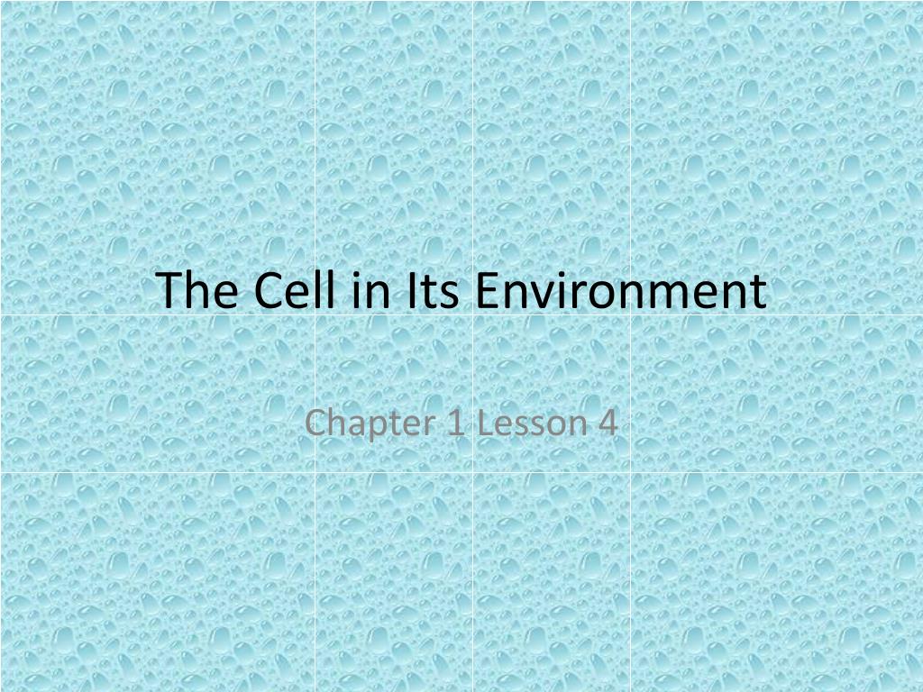 PPT - The Cell in Its Environment PowerPoint Presentation, free ...