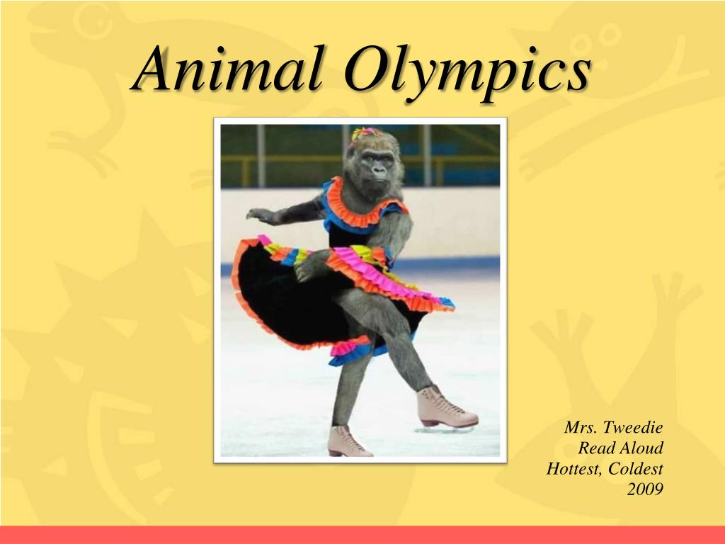 PPT - Animal Olympics PowerPoint Presentation, free download - ID:2350166