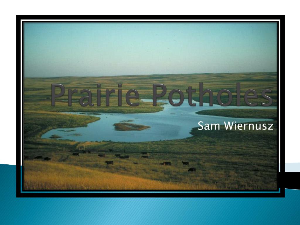 PPT - Prairie Potholes PowerPoint Presentation, free download - ID:2350312