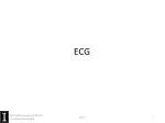 PPT - Basic ECG PowerPoint Presentation, free download - ID:4748985