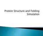PPT - Introduction to Protein Folding and Molecular Simulation ...