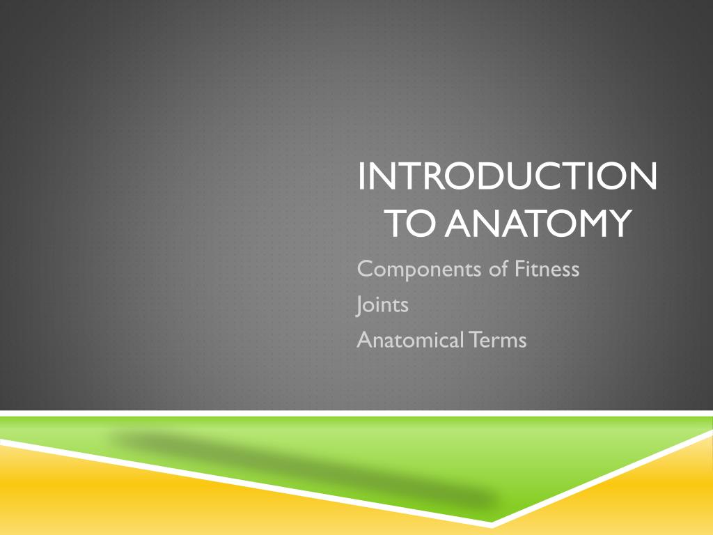PPT - INTRODUCTION TO ANATOMY PowerPoint Presentation, free download ...
