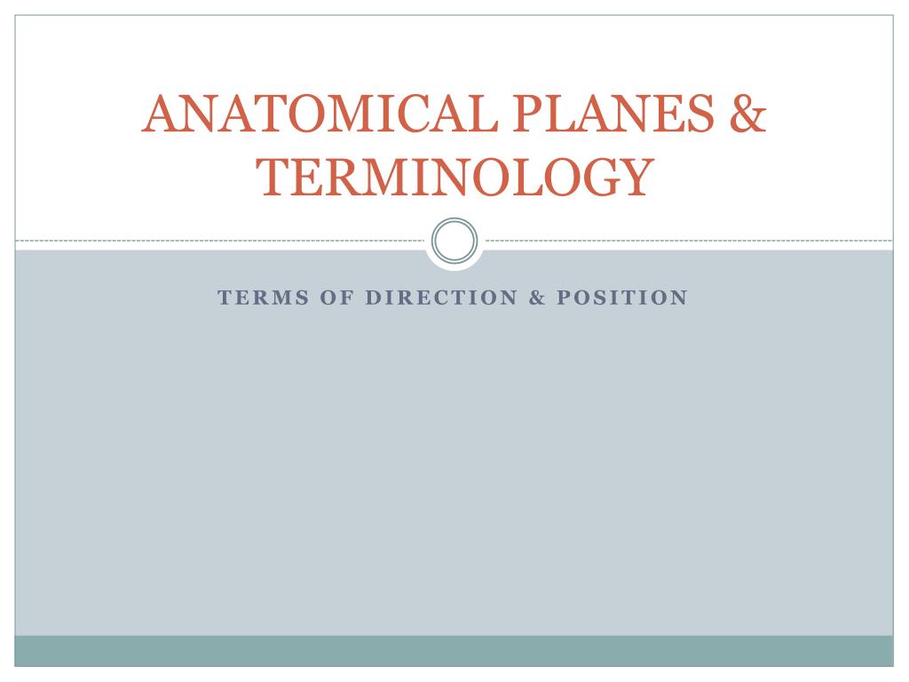 PPT - ANATOMICAL PLANES & TERMINOLOGY PowerPoint Presentation, free ...