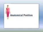 PPT - Anatomical Body Regions PowerPoint Presentation, free download ...